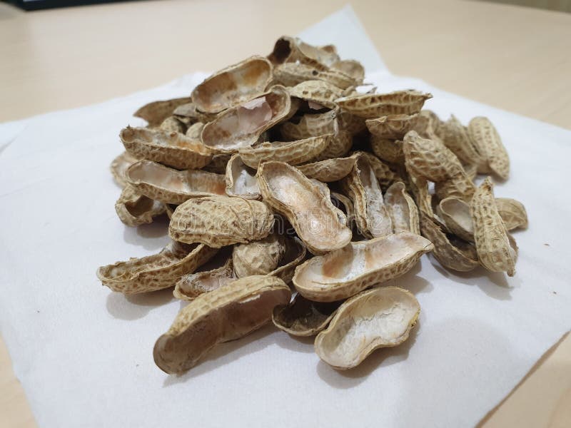 Peanut Shell that Will Become an Art Stock Image - Image of shell ...