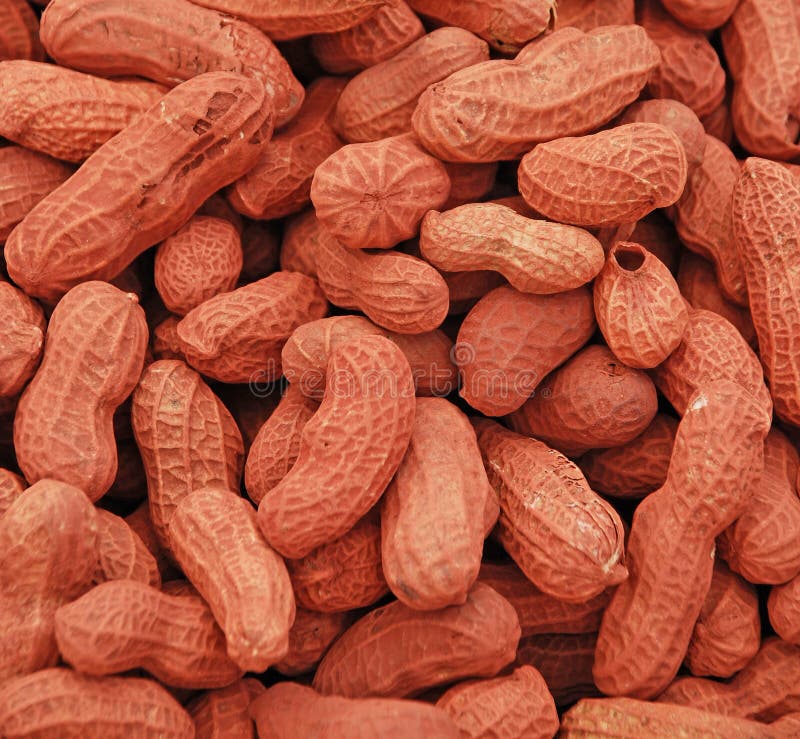 Peanut shells stock image. Image of shell, texture, allergenic - 11978817