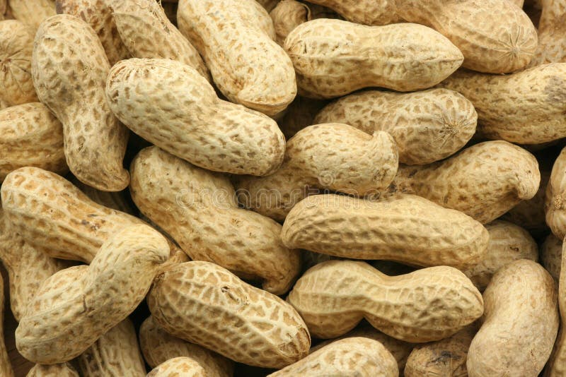 Peanut shells stock image. Image of nuts, allergy, white - 3783207
