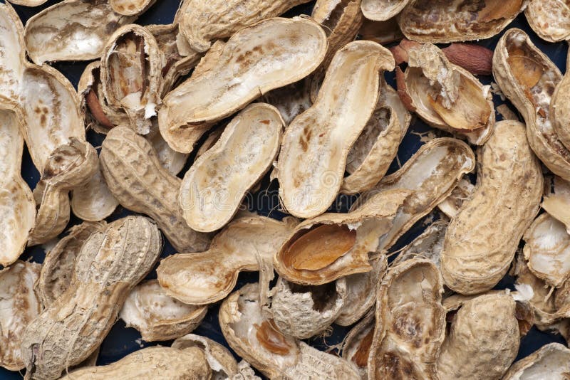 Peanut Shell Background stock image. Image of close - 209765373