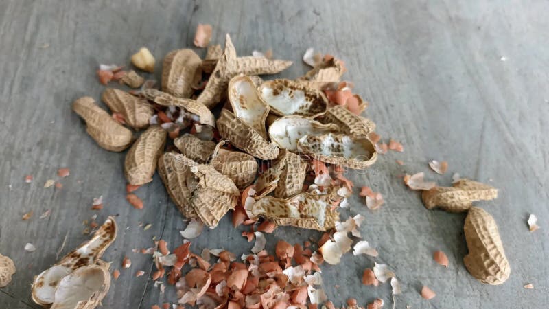 Peanut Shells on the Floor. Dried Peanut Shell Waste Stock Footage ...