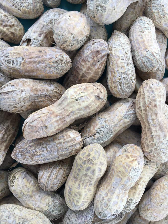 Peanut Shells stock image. Image of peanuts, shells - 160937635