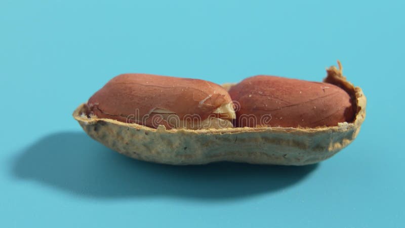 Peanut Shells Rotate on a Blue Background. Stock Video - Video of ...