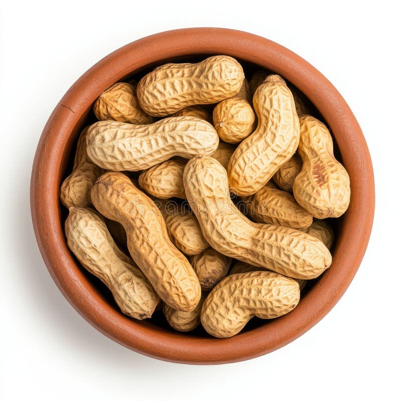 Peanut Shells in a Transparent Bowl Stock Illustration - Illustration ...