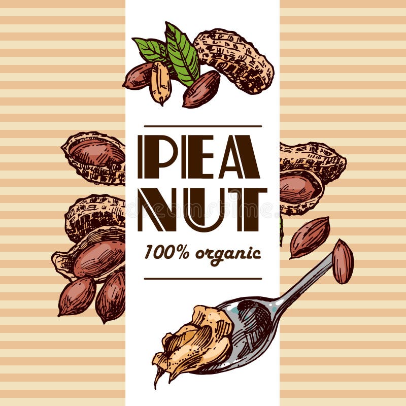 Groundnut Paste Stock Illustrations – 64 Groundnut Paste Stock ...