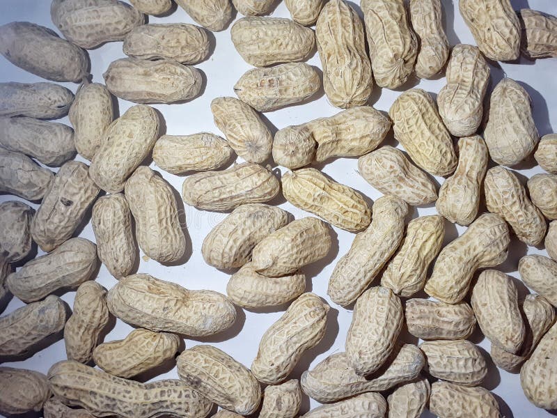 Red skin peanut stock image. Image of seed, heap, fresh - 25383433