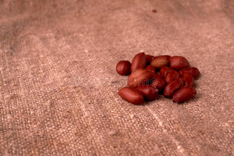 Peanut Snacks Nuts Eating Snacks Red Peanuts Peanuts Fried Peanuts ...