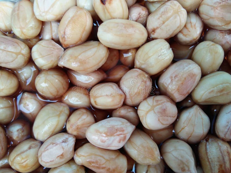 Peanut Soaking Stock Photos - Free & Royalty-Free Stock Photos from ...