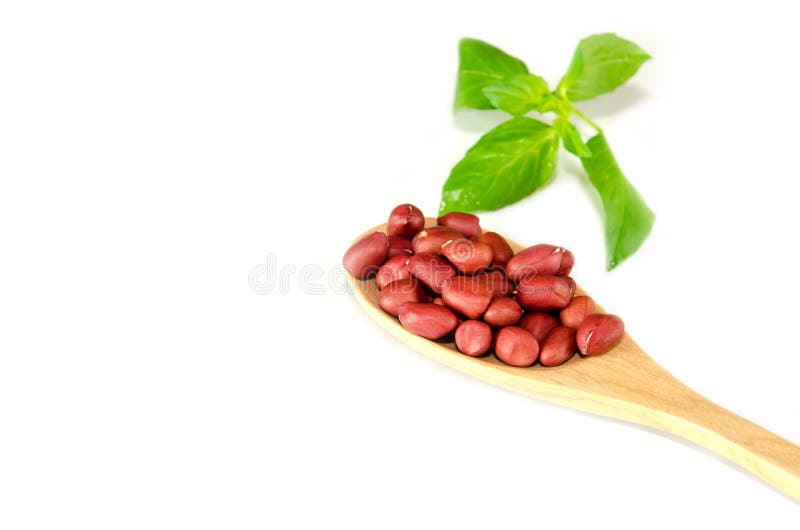 Peanut on spoon stock photo. Image of peanut, nature - 45541168