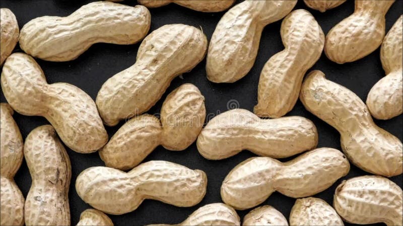 Peanut texture stock video. Video of freshness, organic - 93891287