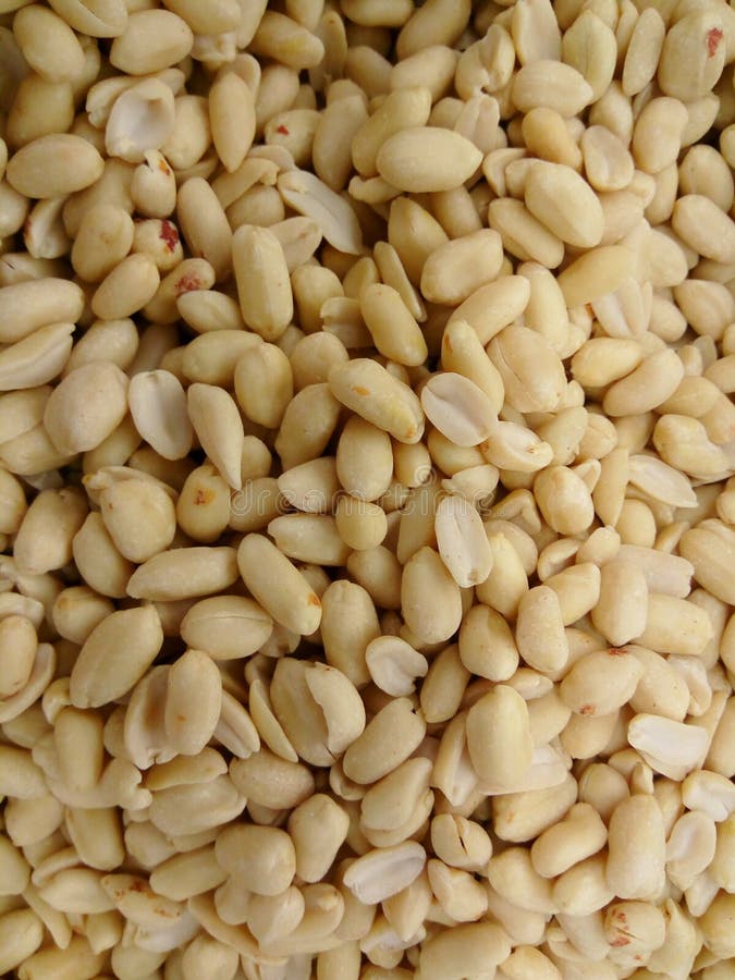 Peanut stock image. Image of peanut, thailand, yellow - 93552301