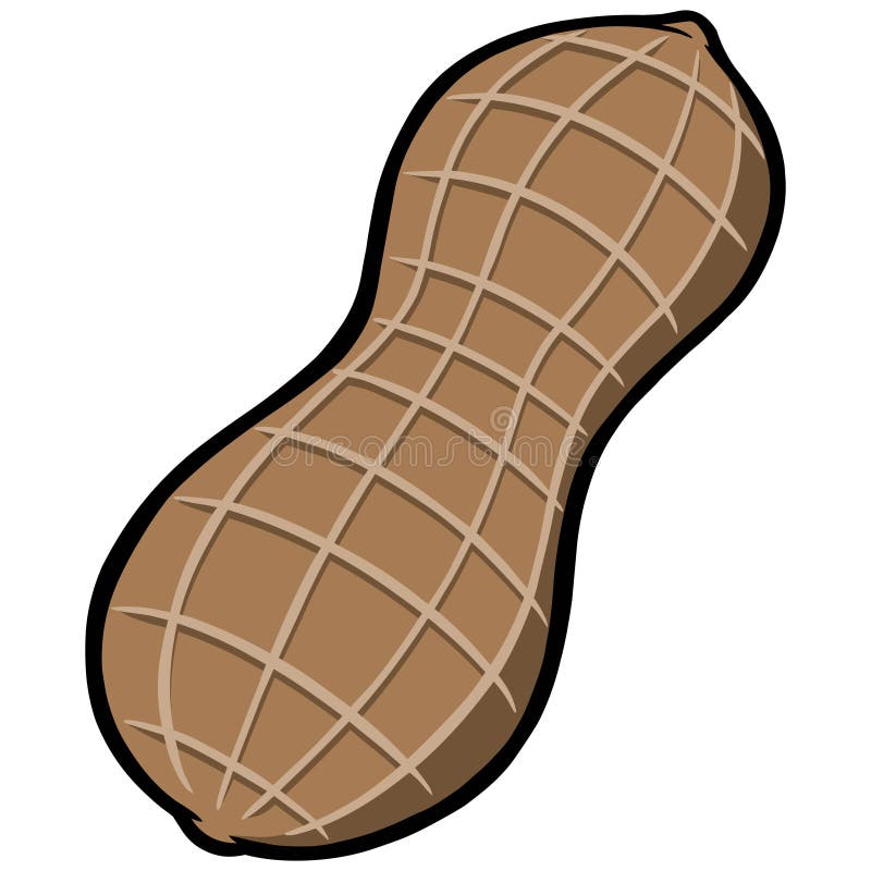 Peanut Stock Illustrations – 38,298 Peanut Stock Illustrations, Vectors ...