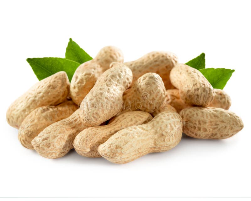 Peanut stock photo. Image of nature, background, isolated - 44850698