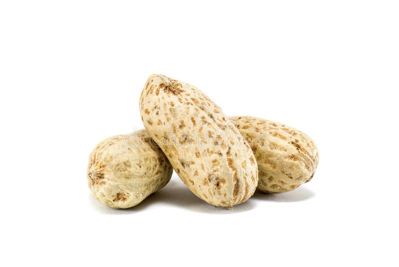 Peanut on the White Background Stock Photo - Image of healthy, peanut ...