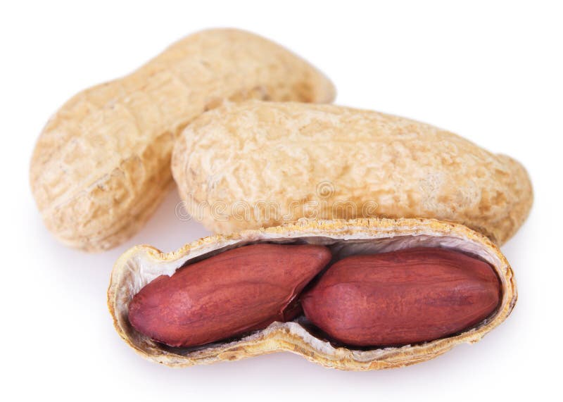 Peanut on white background stock photo. Image of dried - 131118686