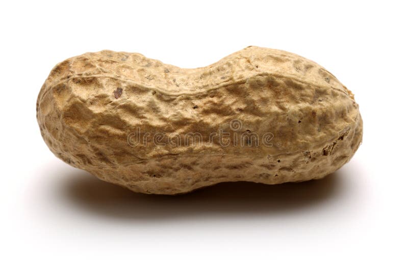 Peanut on white background stock image. Image of ingredient - 138885721