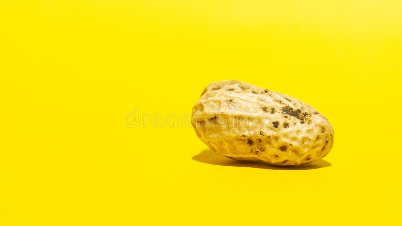 A Peanut with a Yellow Background in Right Corner. Stock Photo - Image ...