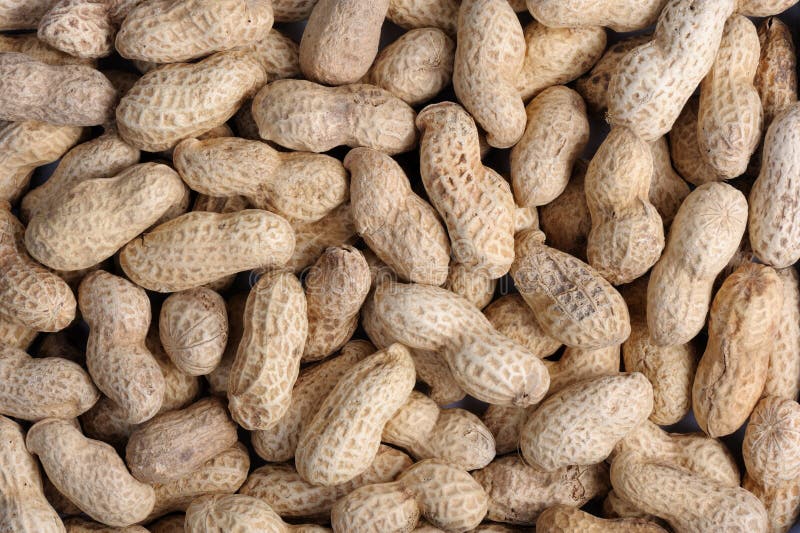 Peanuts in Shells stock image. Image of colour, view, color - 7230267