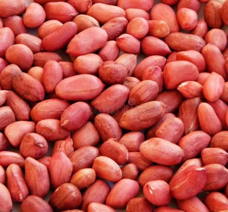 Tropical underwater world stock vector. Illustration of animal - 28823626