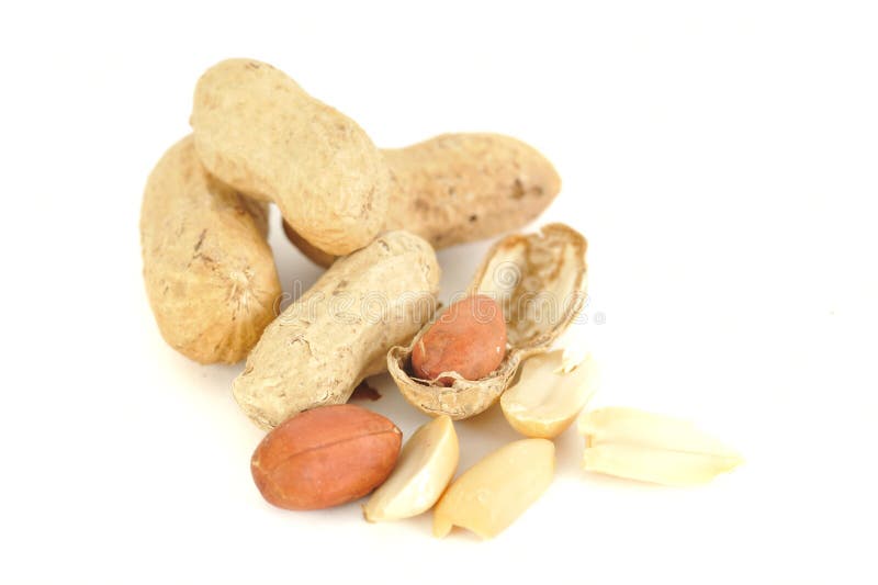 Peanuts in shell stock image. Image of peanuts, roast - 18879933