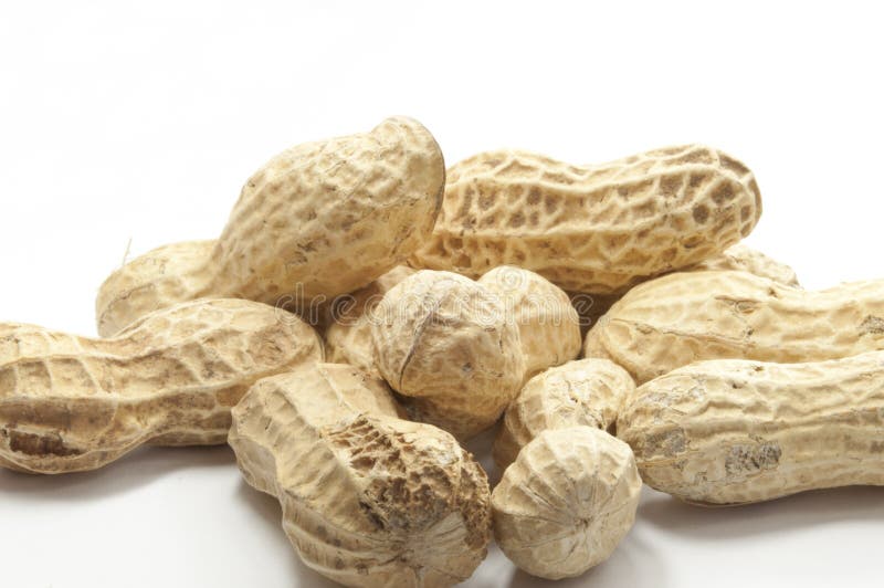 Peanuts stock photo. Image of prized, acids, autumn, natural - 17306000