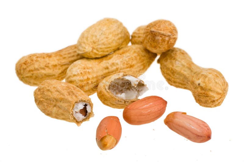 Peanuts in shell stock image. Image of peanuts, roast - 18879933