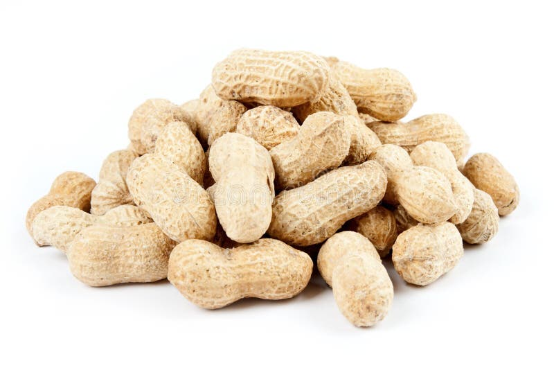 Peanuts stock image. Image of peel, hypogaea, opened - 13219375