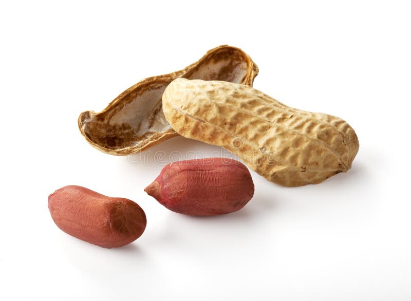 Inside peanut stock image. Image of husk, nutrition, peanuts - 116959