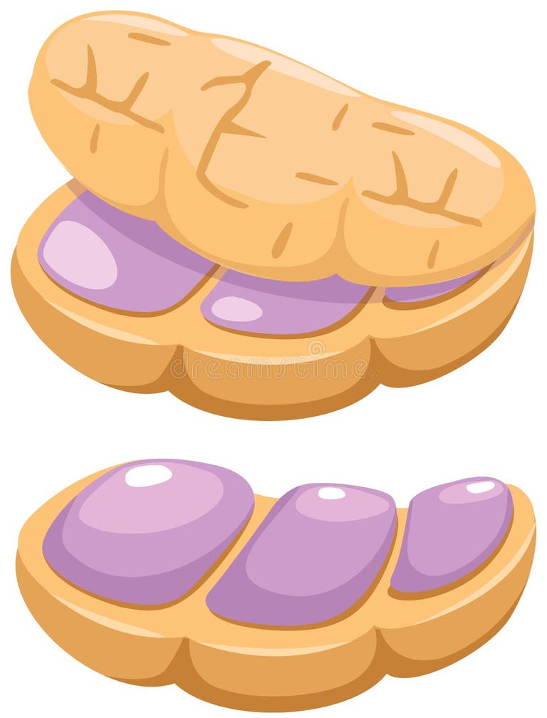 Cartoon Monkey Peanuts Stock Illustrations – 26 Cartoon Monkey Peanuts ...