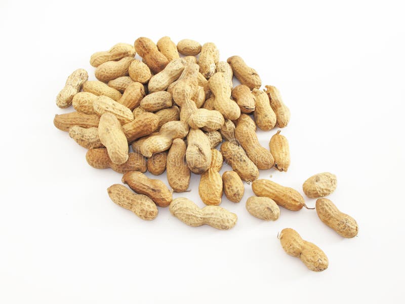 Peanuts stock photo. Image of health, healthy, diet, proteins - 24497608