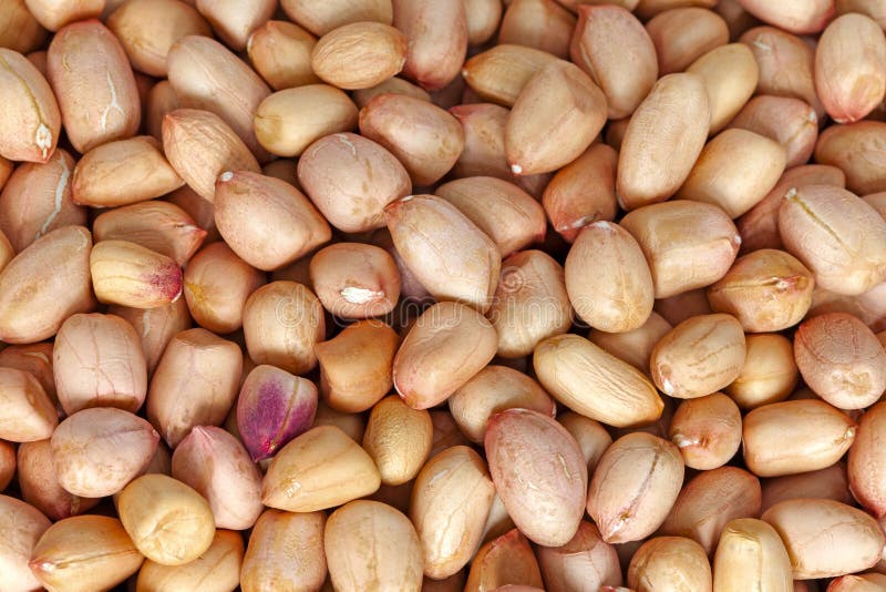 Peanuts stock photo. Image of feeding, trade, peanut - 37877248