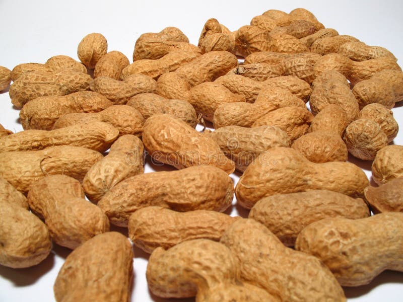 Peanuts stock photo. Image of food, peanut, kishaw, peanuts - 3848300