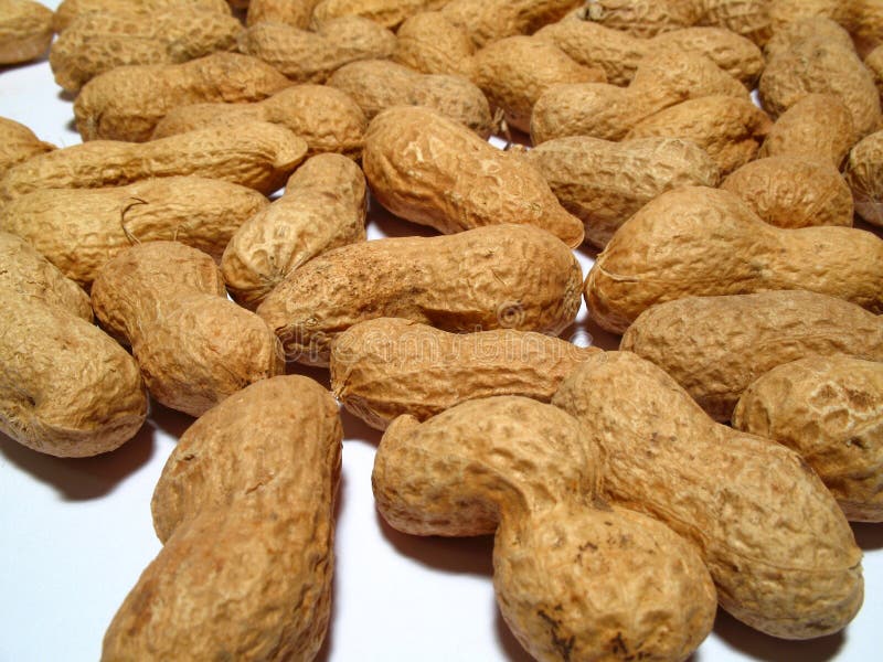 Peanuts stock photo. Image of peanut, ingredient, kishaw - 3848308