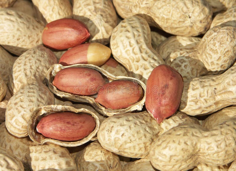 Peanuts stock image. Image of pattern, shell, snack, open - 806147