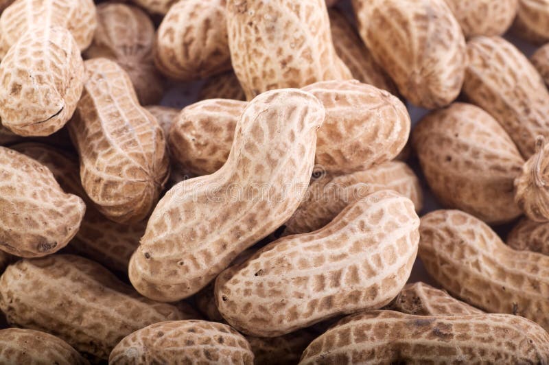 Peanuts in Shells stock image. Image of colour, view, color - 7230267