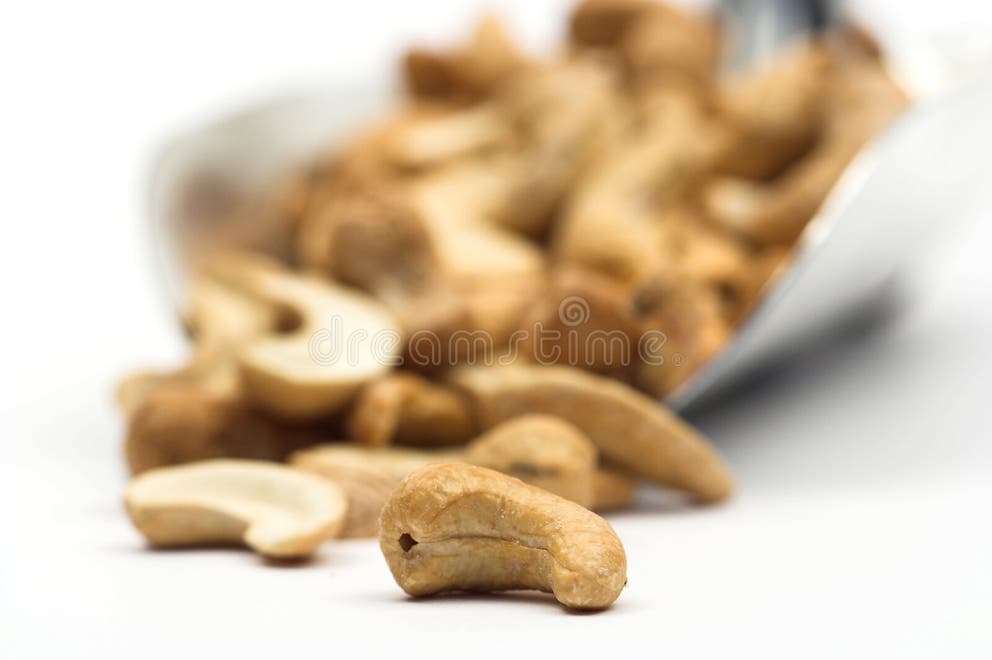Peanuts stock photo. Image of peanut, appetite, allergy - 9703516
