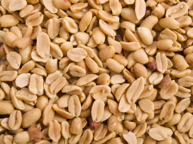 Peanuts stock image. Image of grain, close, peanut, peanuts - 9759679