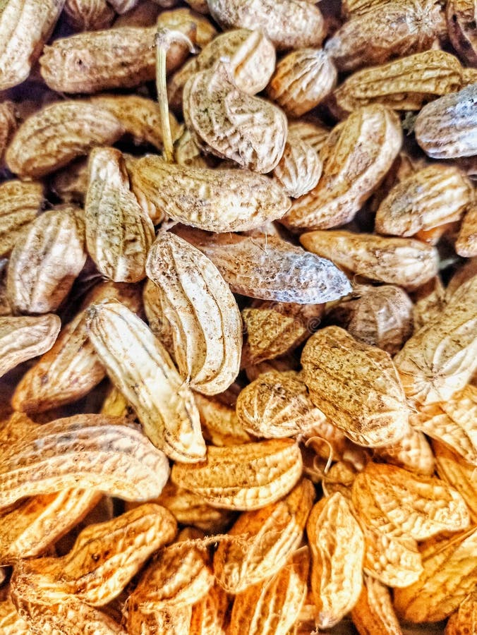 Edible Legume with Protein and Healthy Fats. Stock Photo - Image of ...