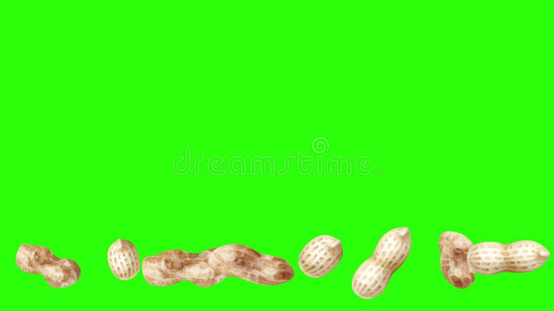 Peanuts Animation Group on Green Screen Chroma Key, Graphic Source ...