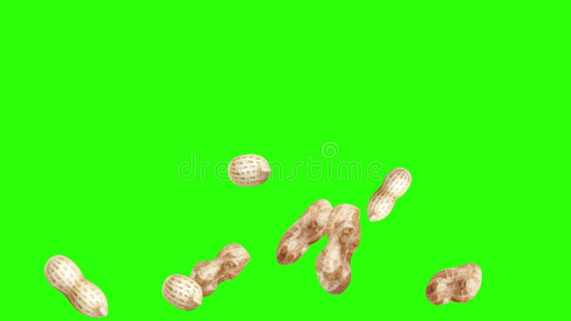 Peanuts Animation Group on Green Screen Chroma Key, Graphic Source ...