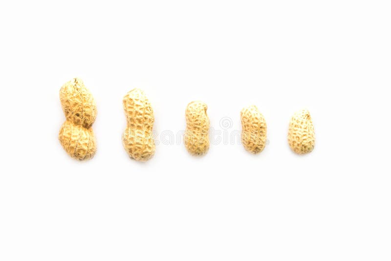 Peanuts Arranged from Big To Small Stock Image - Image of nutshell ...