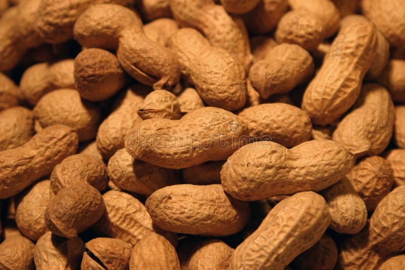 Peanuts background 1 stock image. Image of peanut, macro - 61977