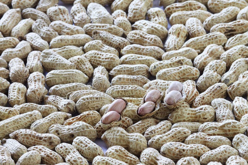Peanuts stock photo. Image of crop, pattern, brown, bean - 35832894