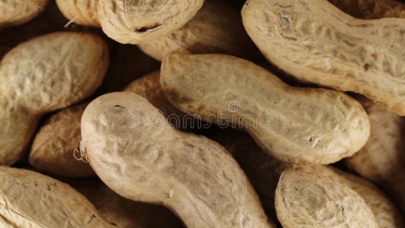 Peanuts bio snack stock footage. Video of cookies, isolate - 127278714