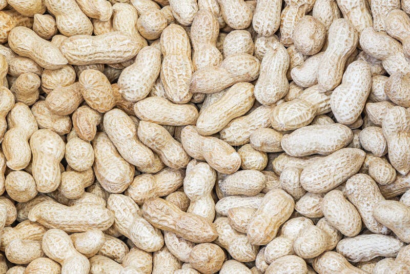 Peanuts in the box. stock photo. Image of nutrition - 142003458