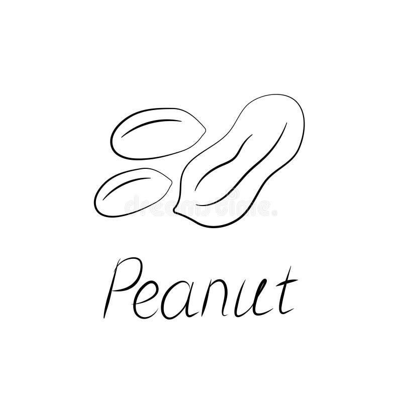 Peanuts in Cartoon Style. Nut Icon for Template Label, Packaging ...