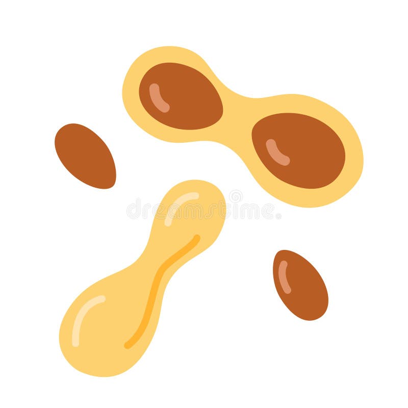 Peanuts, Cartoon Style. Vector Illustration Isolated on White ... Peanuts, Cartoon Style. Vector Illustration Isolated on White ...