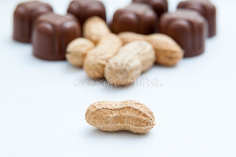 Peanut chocolates stock photo. Image of detail, handmade - 61286694