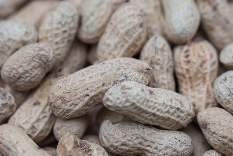 Moldy Peanuts Stock Photos - Free & Royalty-Free Stock Photos from ...