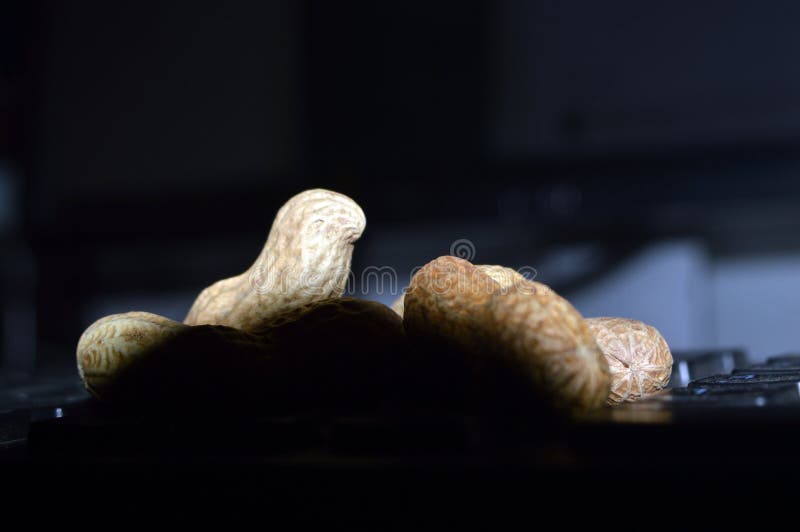 Peanuts on Computer Keyboard Stock Photo - Image of produce, carving ...